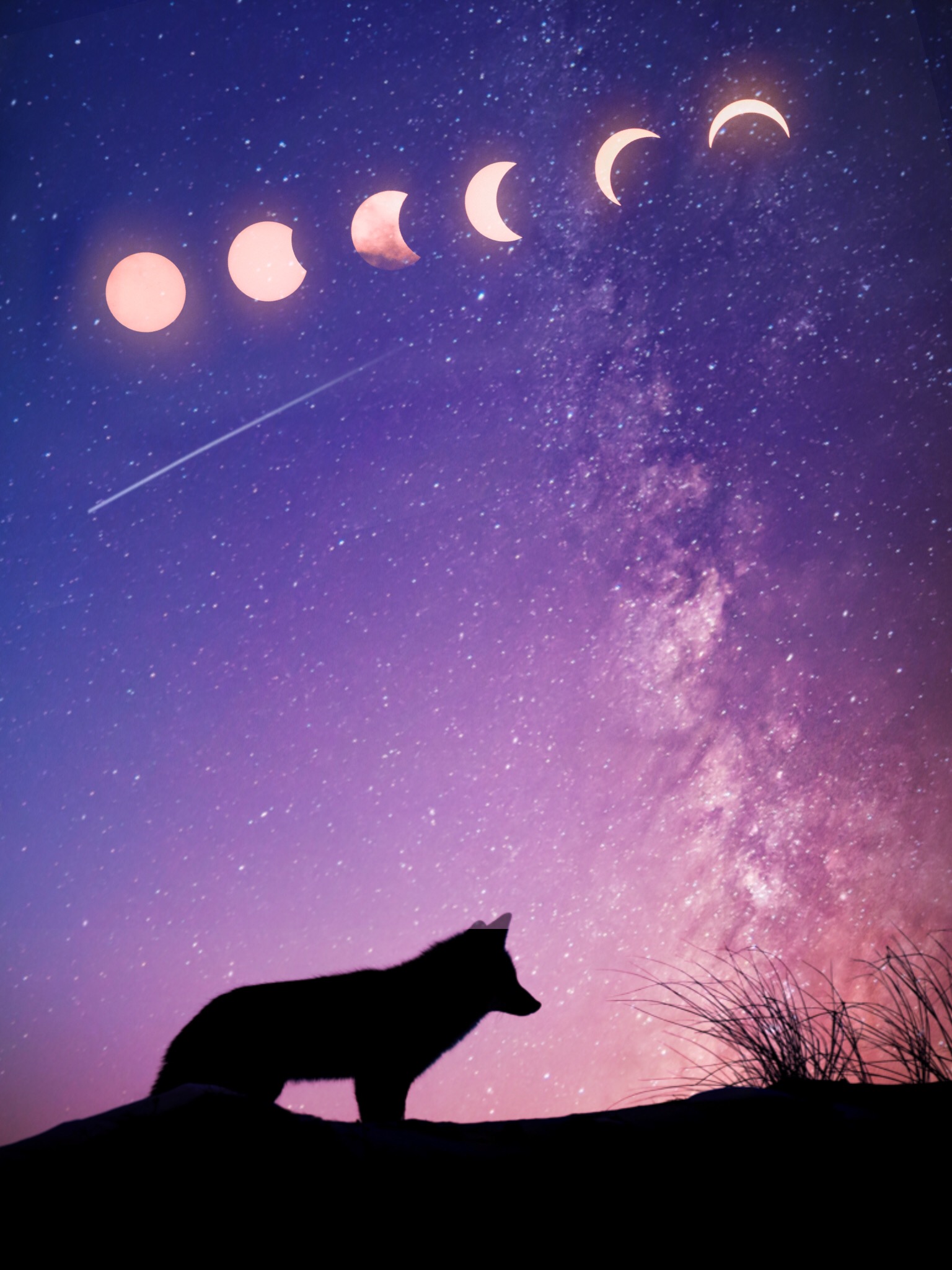 Eclipse Wolf
