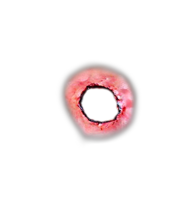 Bullet Wound Png