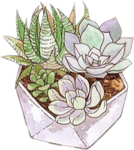 Succulent Drawing Tumblr