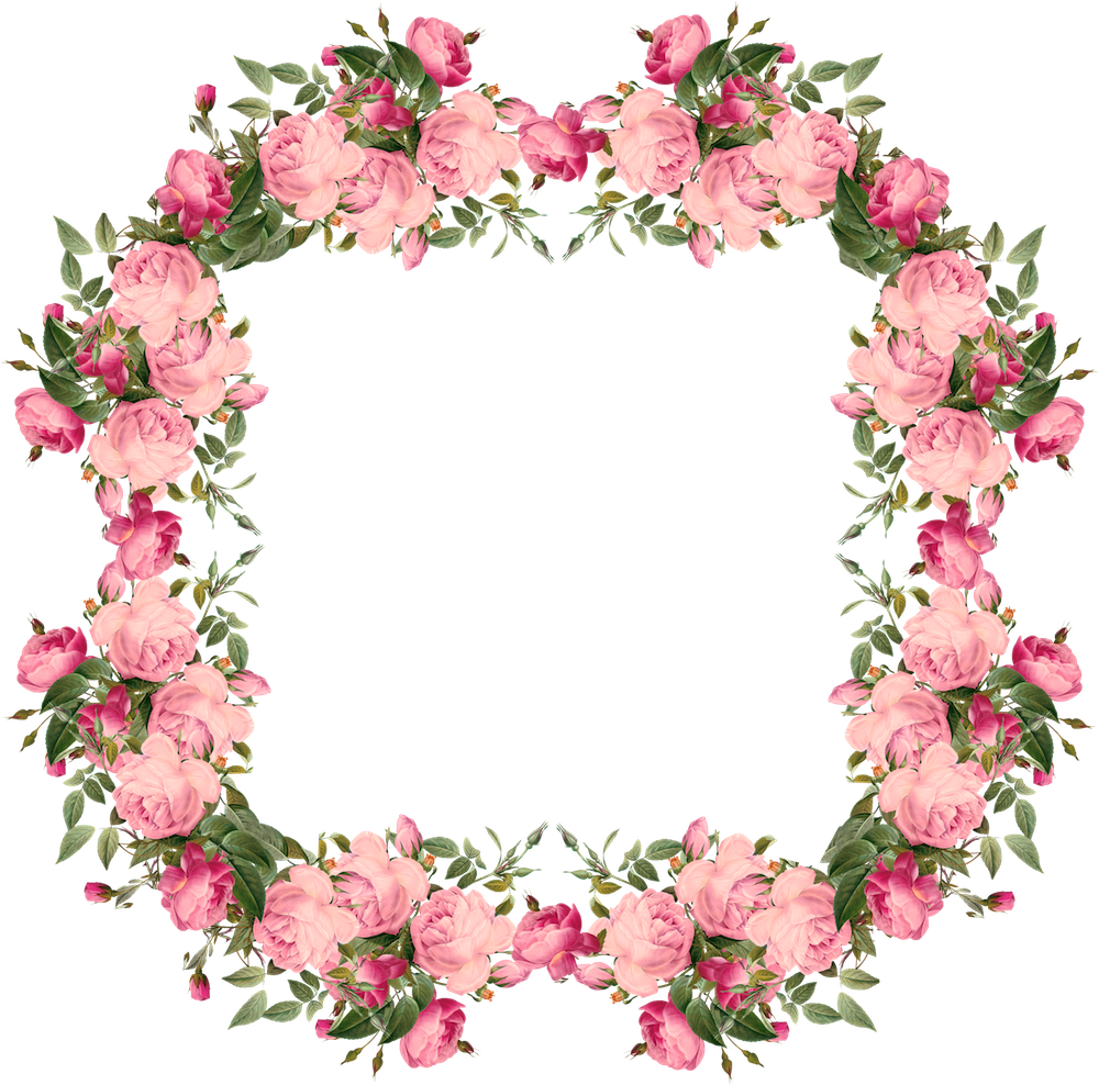 flowers frames flowerframe sticker by @therainbowdoll