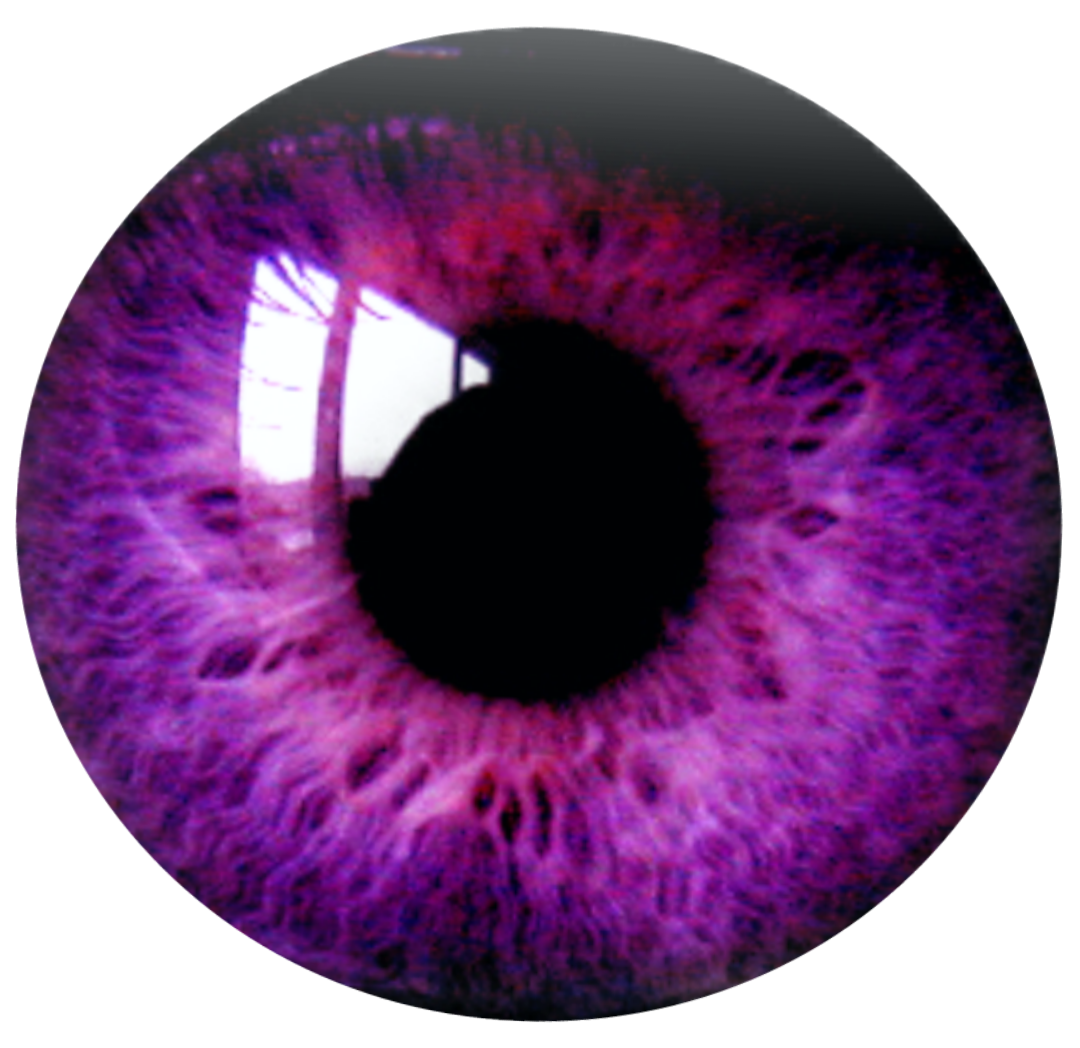 Eye Eyes Color Colourful Lense Sticker By therainbowdoll