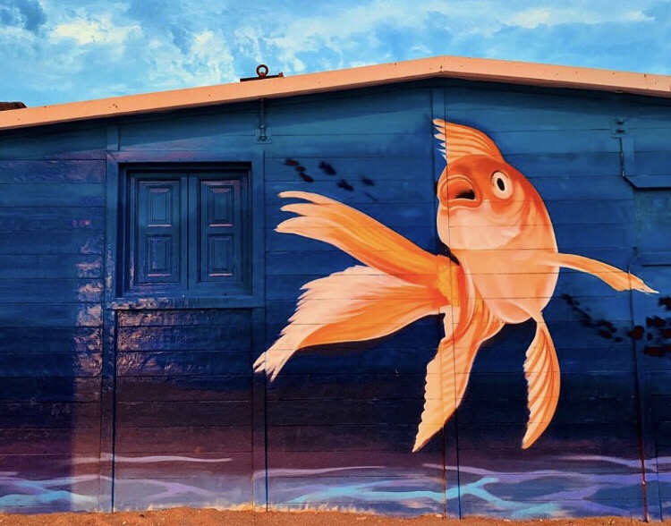 Graffiti Fish