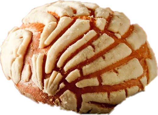 pan concha freetoedit #pan #concha sticker by @raulito_a_e