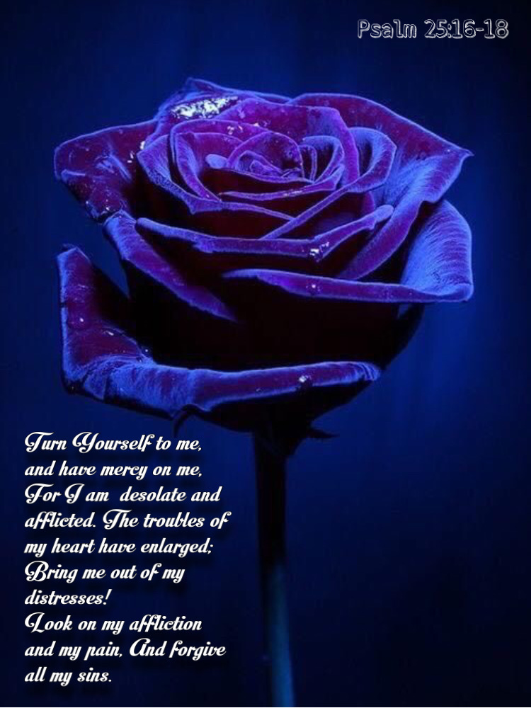 Psalm 25 16 18 Https www biblegateway passage search Psalm 2025 Psalm 25 16 18 Https www biblegateway passage search Psalm 2025