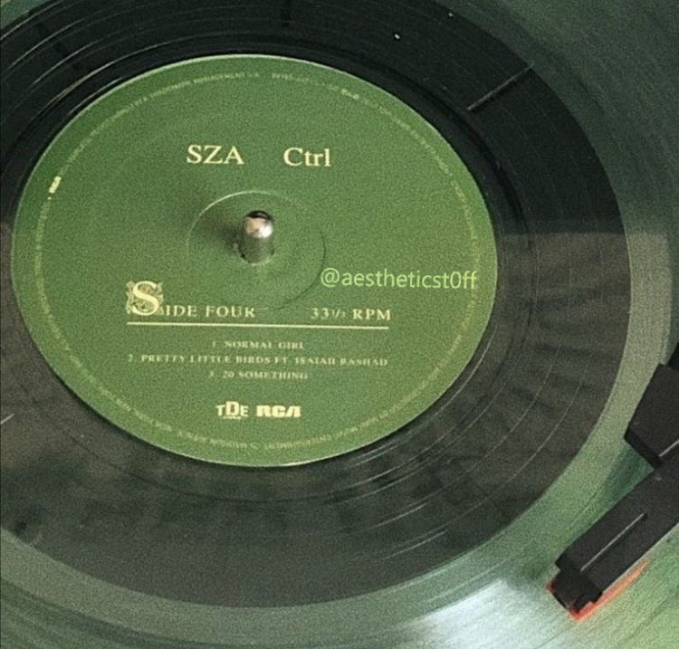 Sage Green Aesthetic Pfp